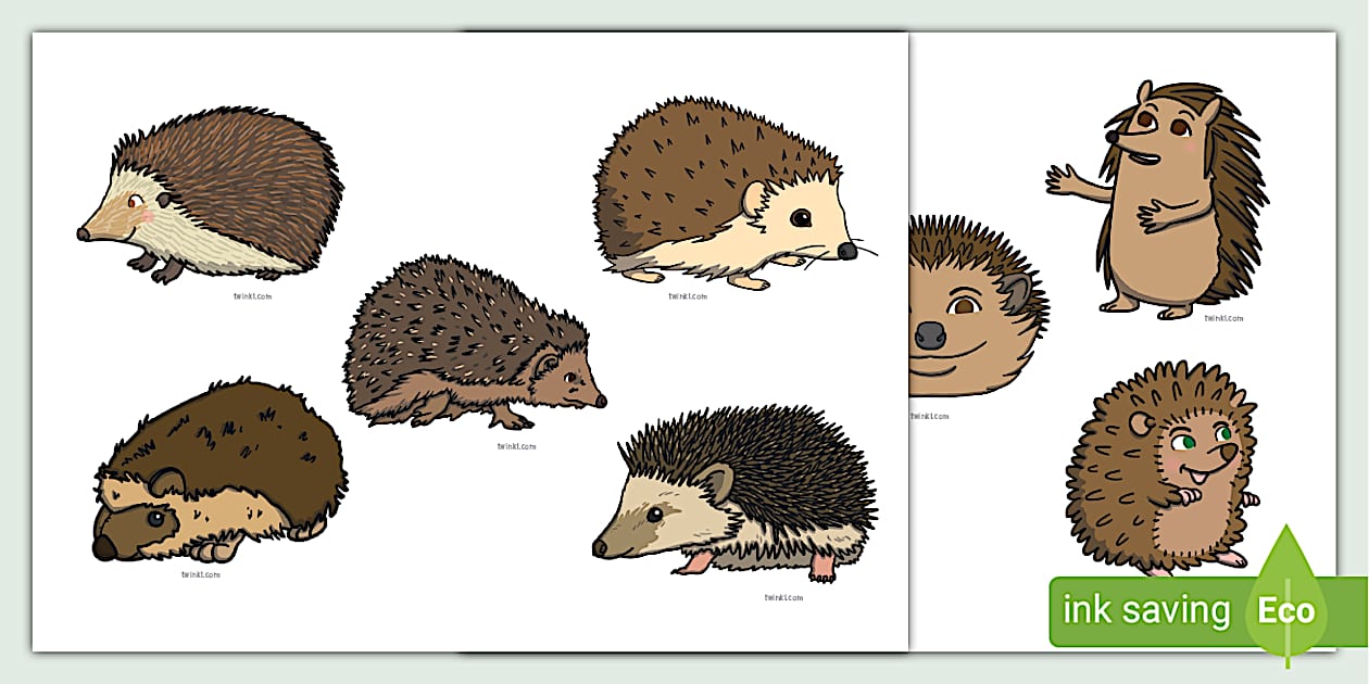 👉 Hedgehog Counting to 10 Stick Puppets | EYFS and KS1 Maths