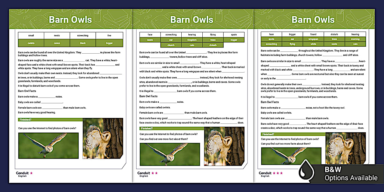 Reinforcing Reading: Barn Owls Differentiated Cloze Passages