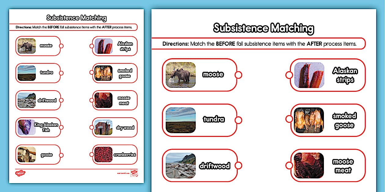 Subsistence Matching Worksheet (teacher made) - Twinkl