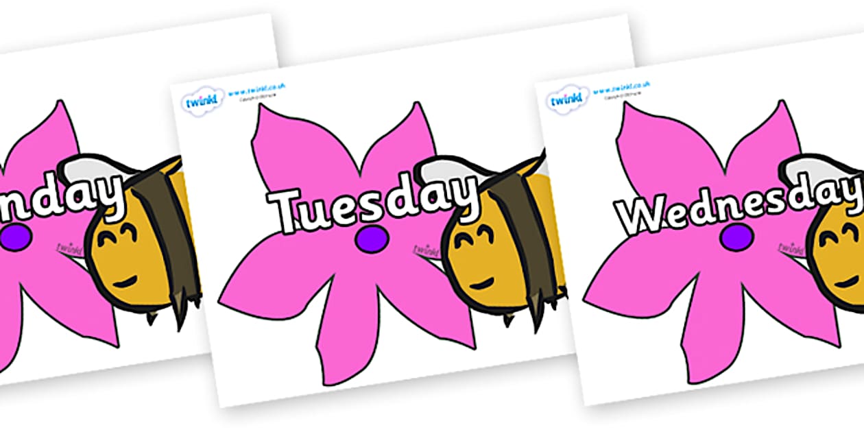 Days of the Week on Bees (teacher made) - Twinkl