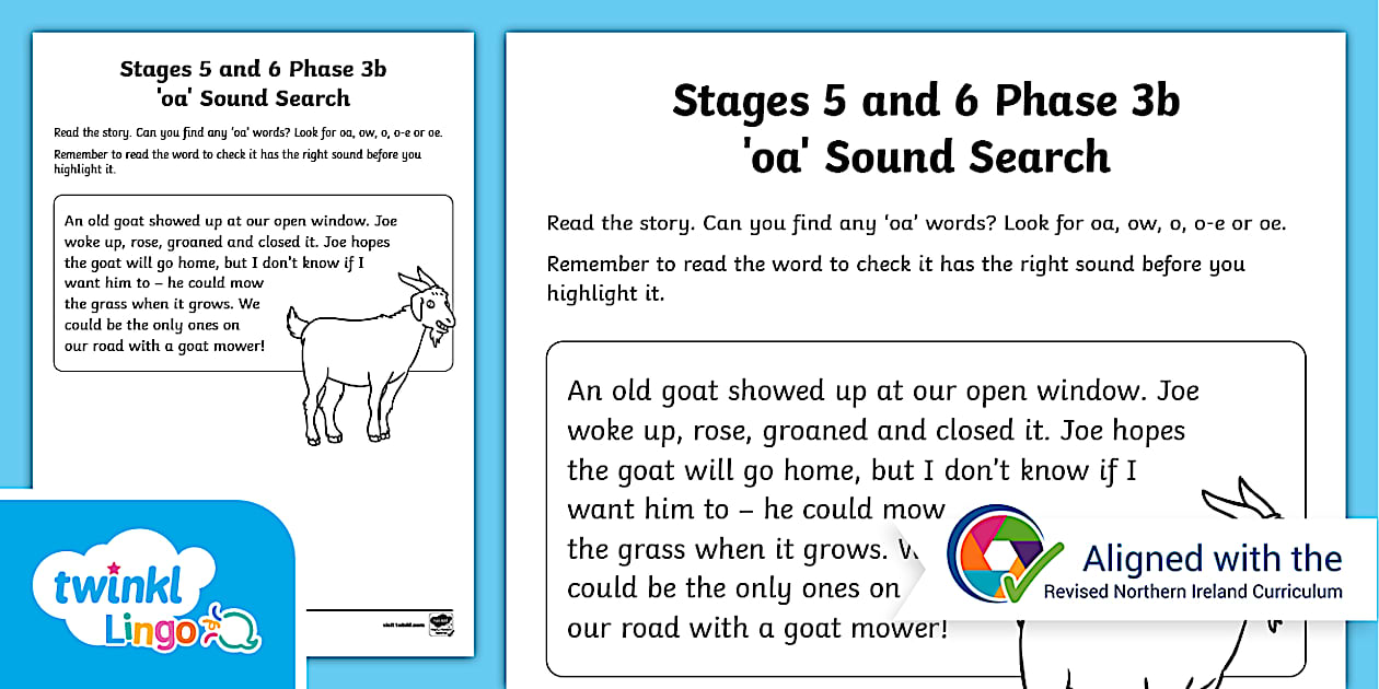 Northern Ireland Linguistic Phonics 3b 'oa' Sound Search Worksheet