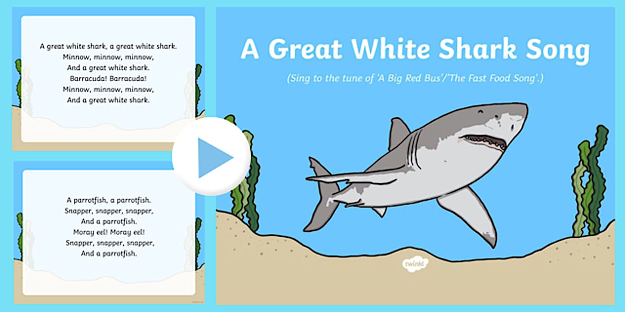 A Great White Shark Song PowerPoint Activity - Twinkl