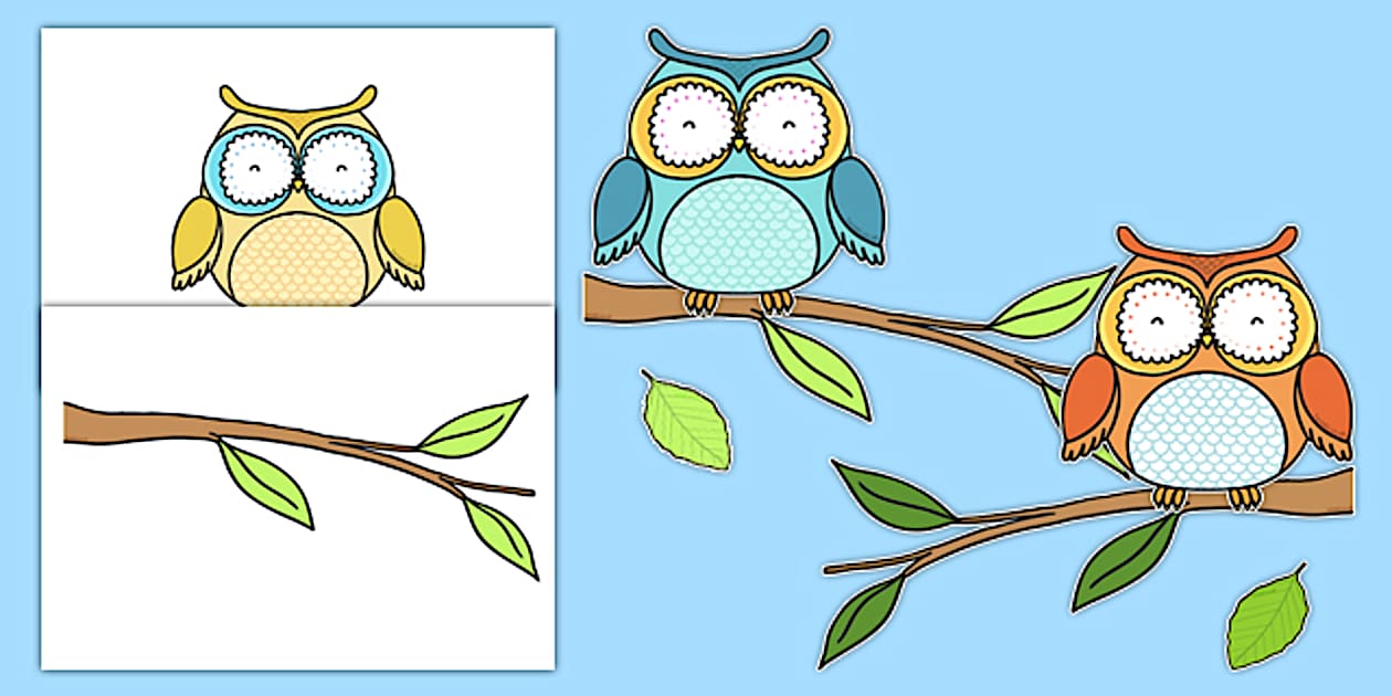 Editable Owl Themed Wall Decals (teacher made) - Twinkl