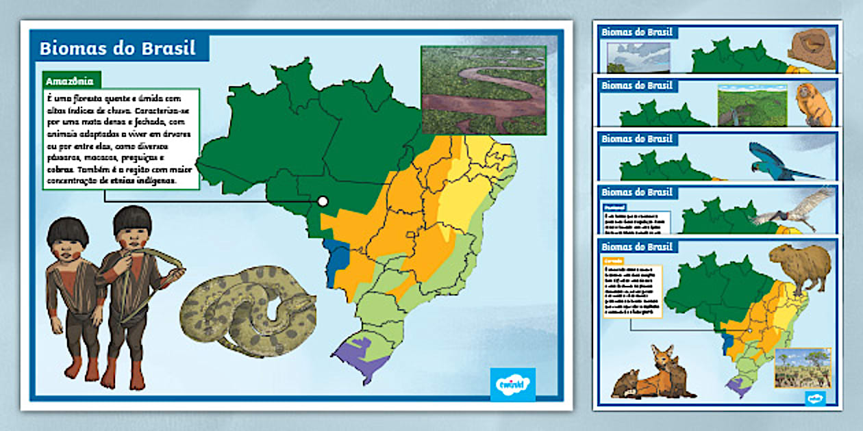 Biomas do Brasil - Mapa informativo (teacher made) - Twinkl