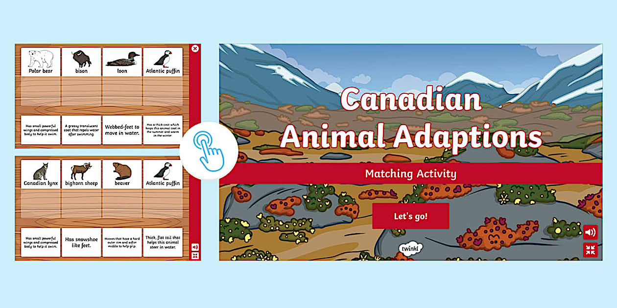 * NEW * Canadian Animal Adaptations Interactive Matching Activity