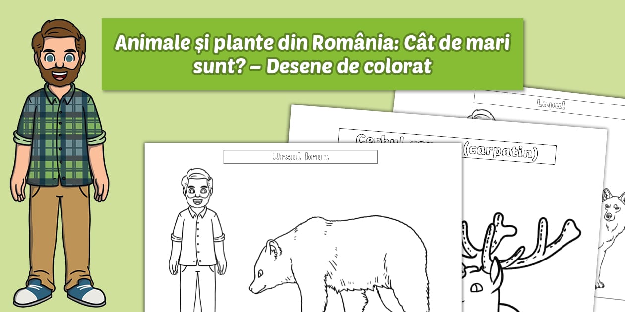 Cât de mari sunt animalele și plantele din România? Desene