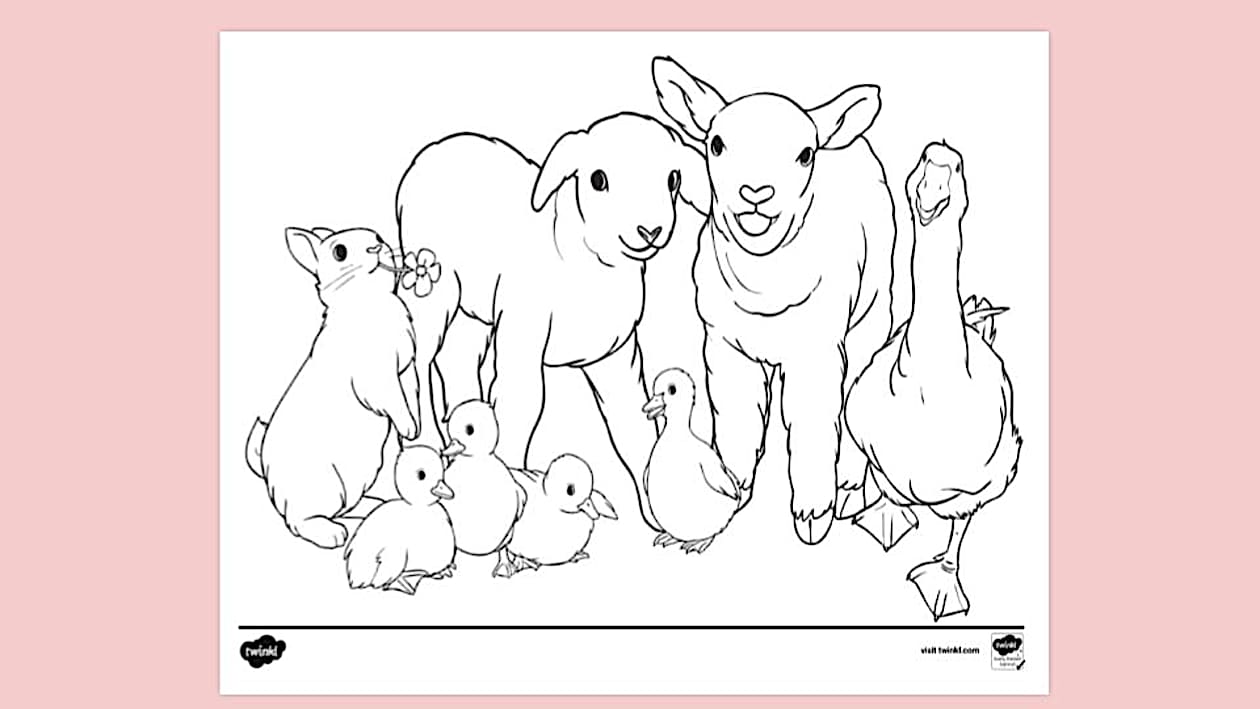 Spring Season Colouring | Colouring Sheets