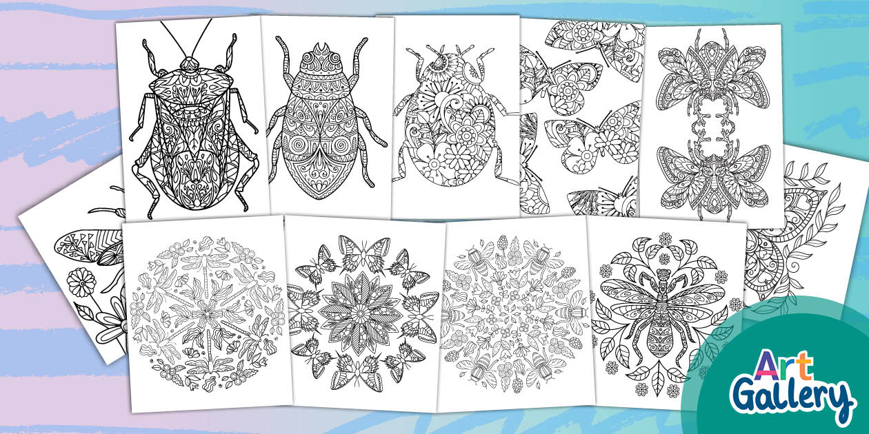 Doodle Bug Colouring (l'enseignant a fait) - Twinkl