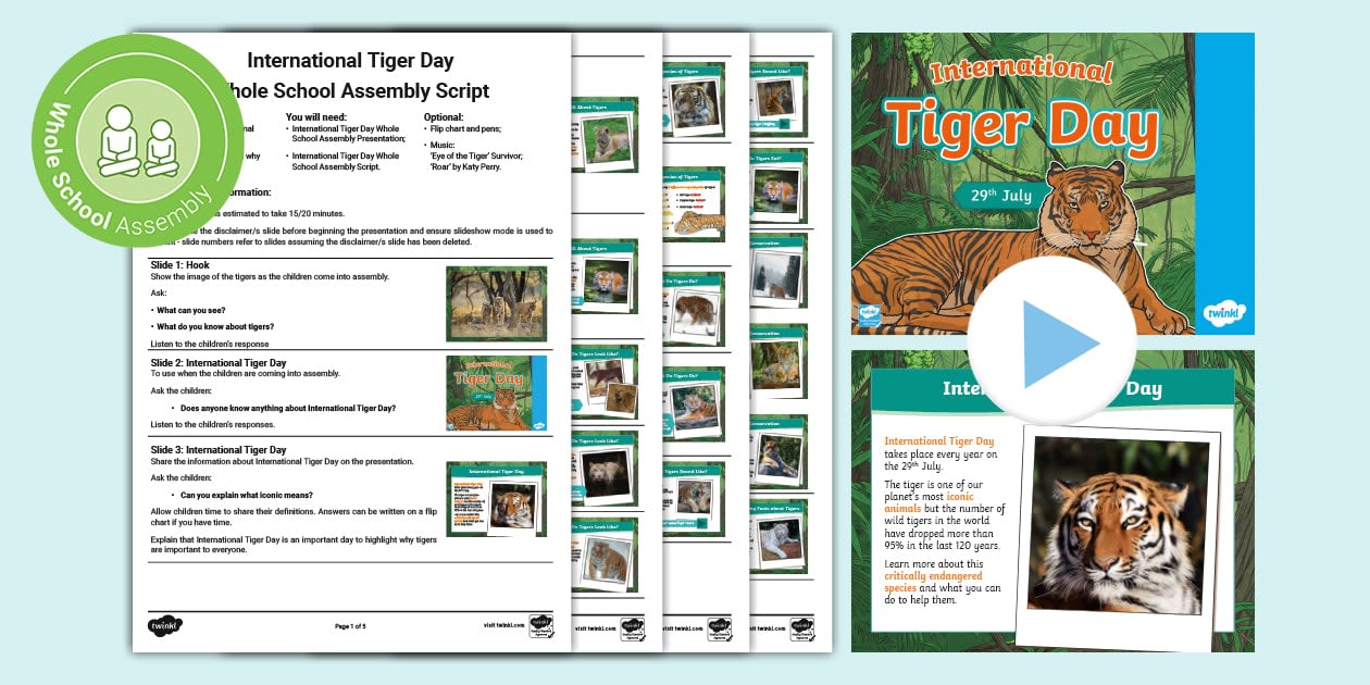 International Tiger Day Whole School Assembly Pack - Twinkl