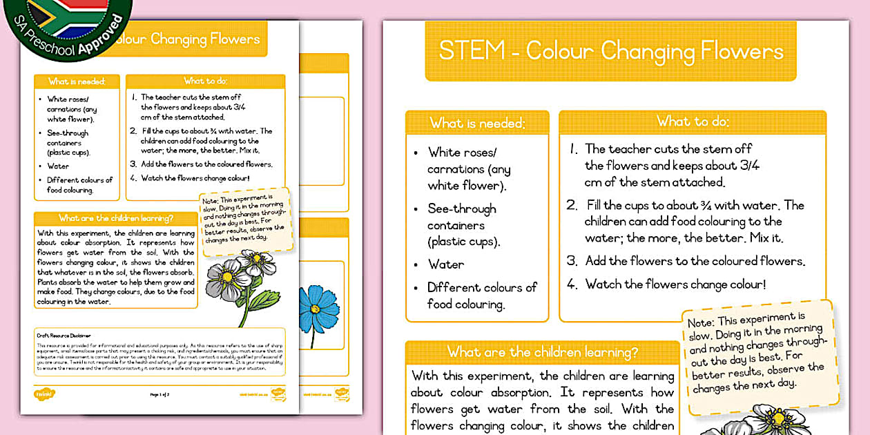 Preschool: STEM-Colour Changing Flowers (teacher made)