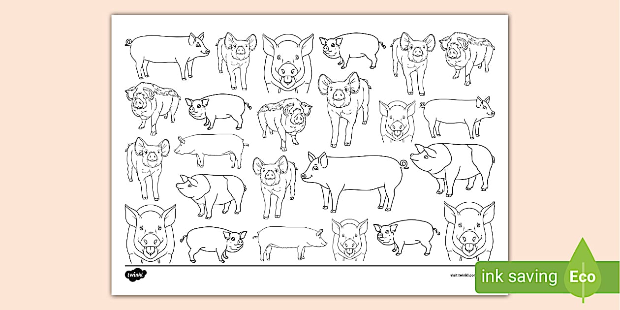 Pig Doodle Colouring Page (teacher made) - Twinkl