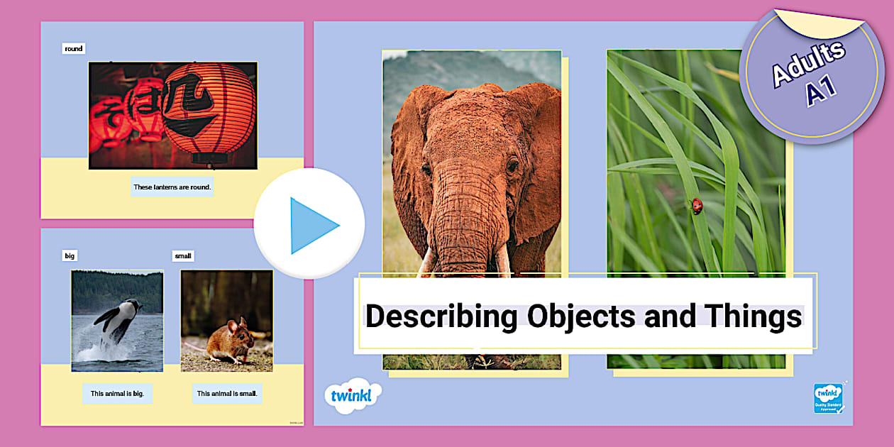 ESL Describing Objects and Things PowerPoint [Adults, A1]