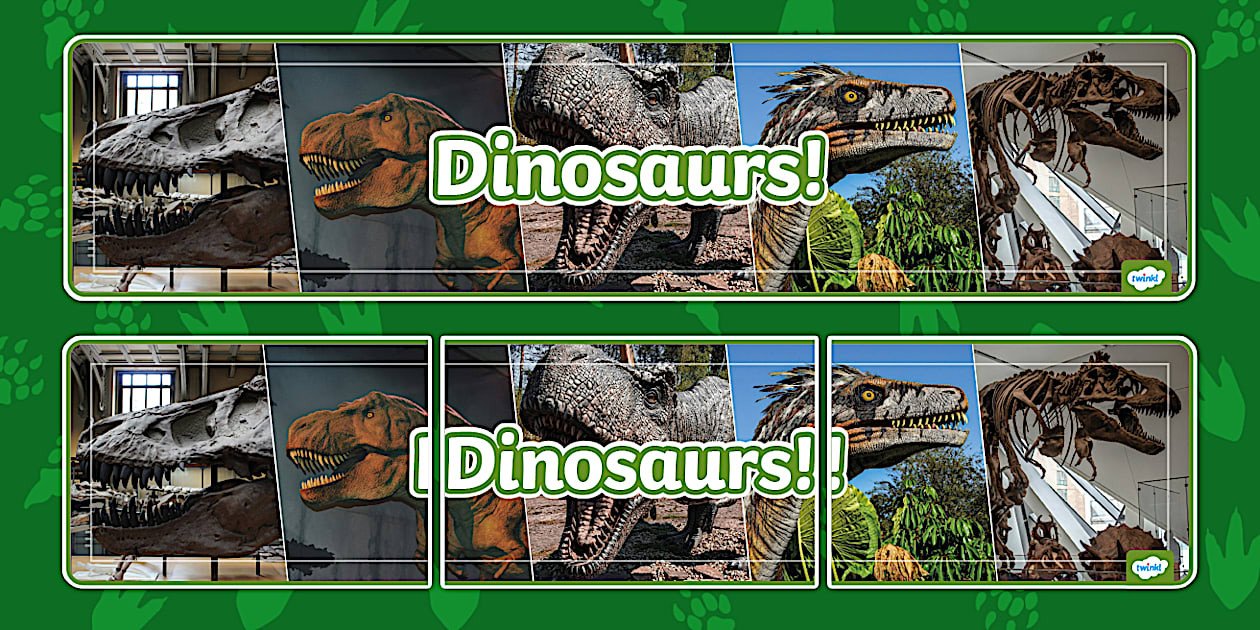 Dinosaur Photo Display Banner (Teacher-Made) - Twinkl