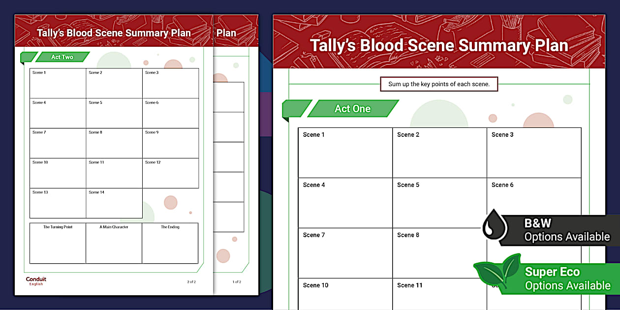 Tally's Blood Scene Summary Plan (teacher made) - Twinkl