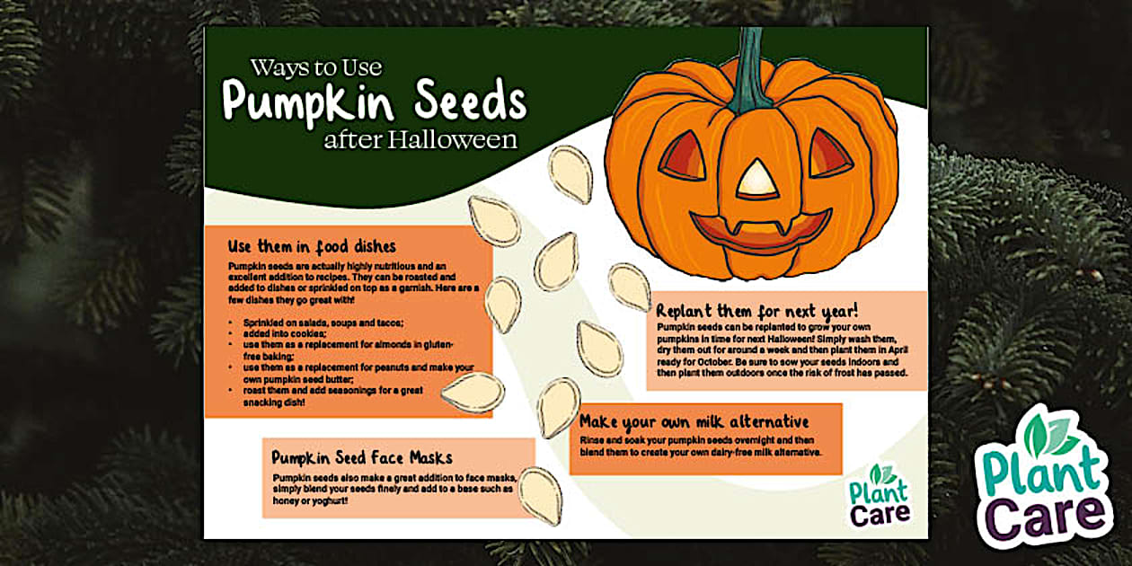 Ways to Use Pumpkin Seeds after Halloween | Autumn Plantcare