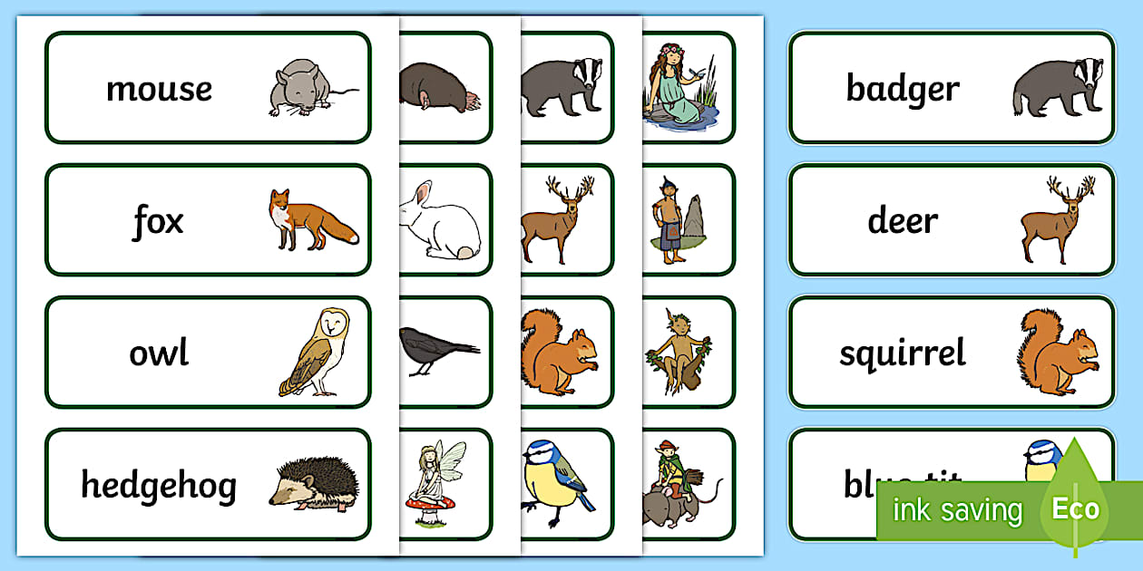 Woodland Creatures Word Cards (teacher made) - Twinkl