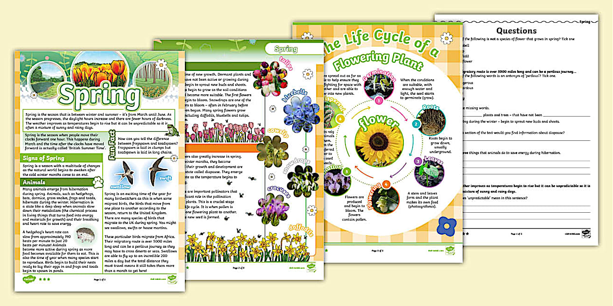 UKS2 Spring Differentiated Reading Comprehension Activity