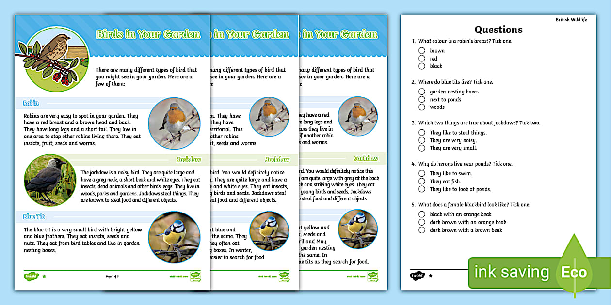 Birds in Your Garden Comprehension,birds comprehension