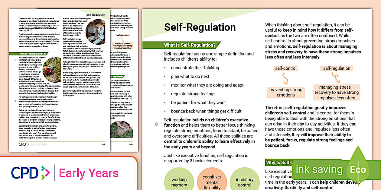 Self-Regulation EYFS Practitioner Support Handout | CPD