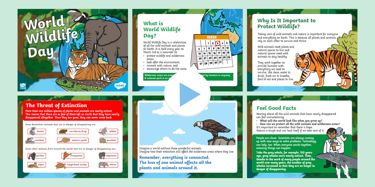 World Wildlife Day: Celebrating and Protecting Wildlife