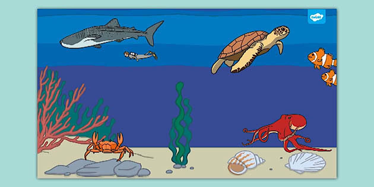 Ocean Virtual Teaching Background (teacher made) - Twinkl