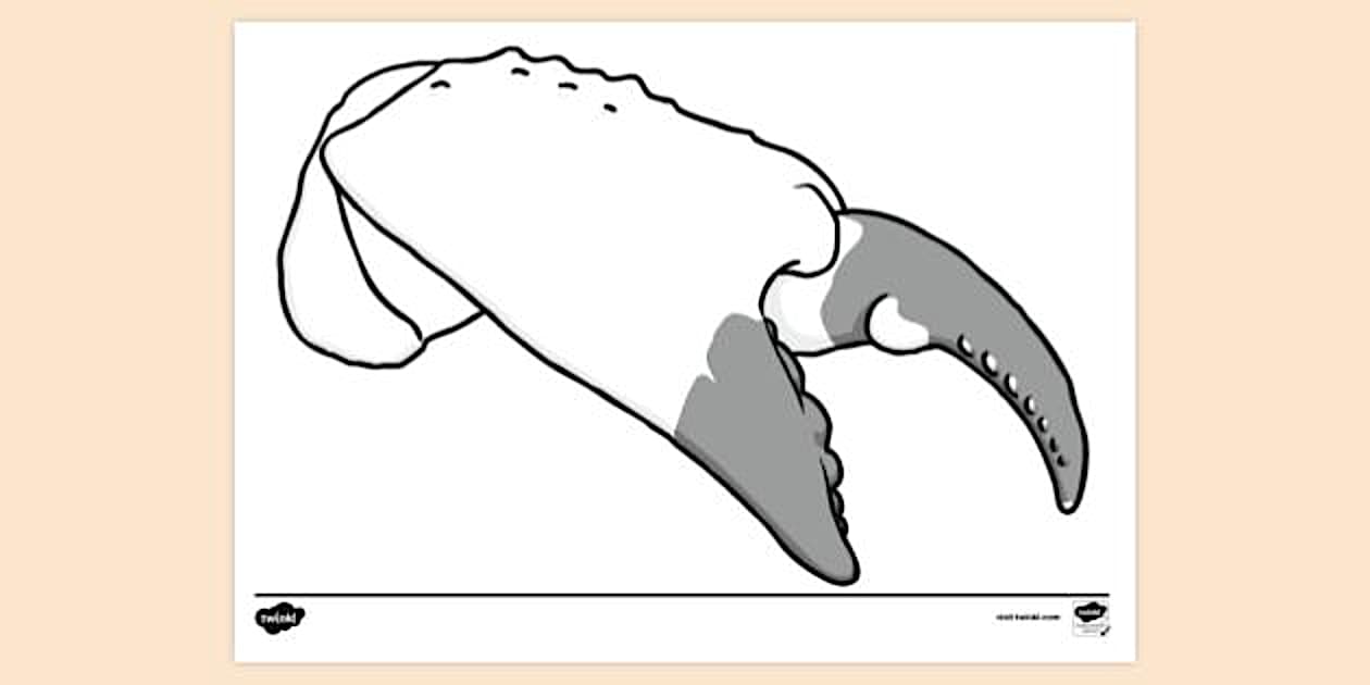 Crab Claw Colouring Sheet | Colouring Sheets (teacher made)