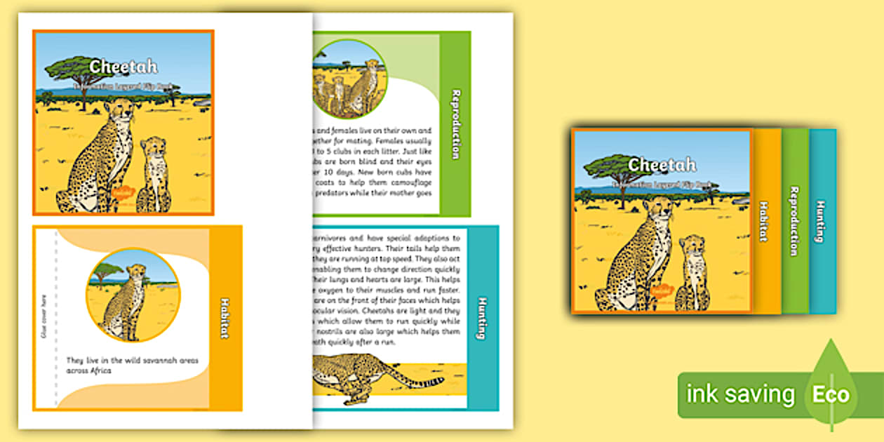 Cheetah Information Layered Flip Booklet - Twinkl