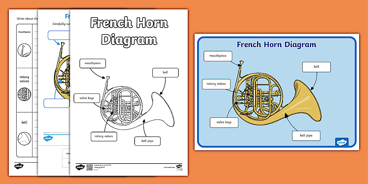 French Horn Diagram Activity Pack (teacher made) - Twinkl