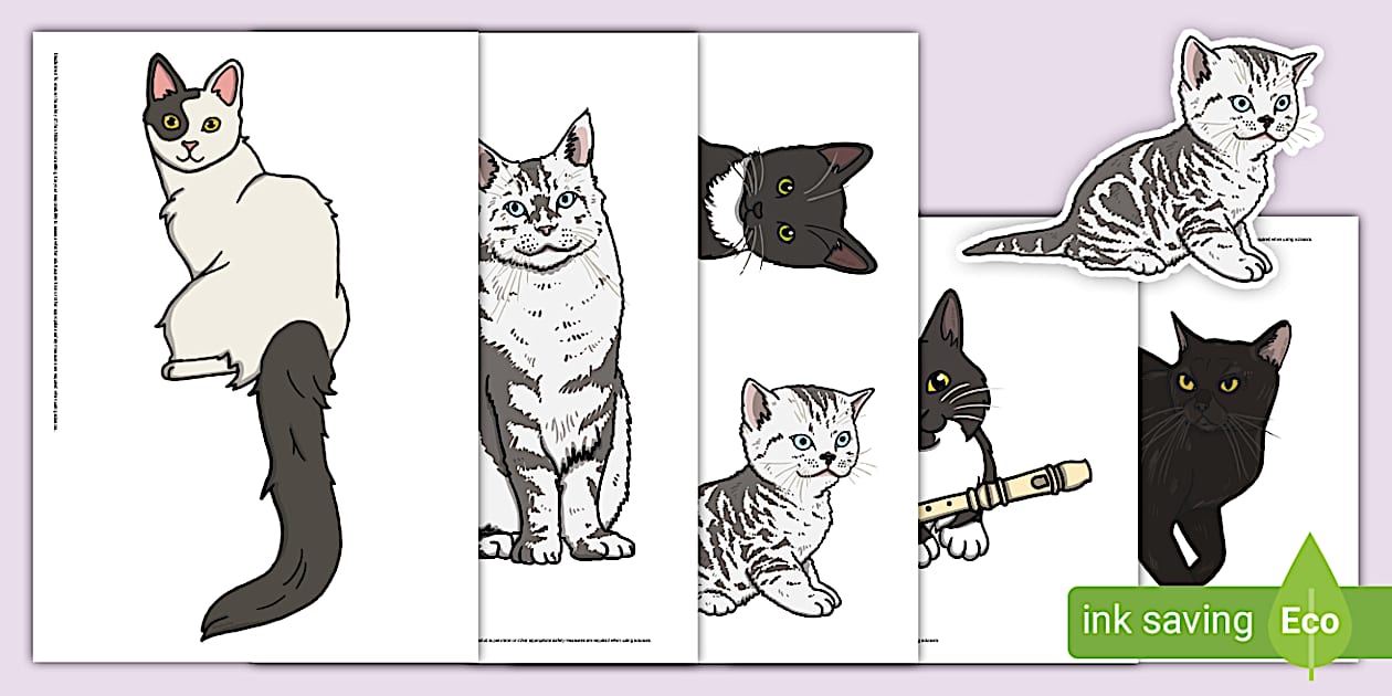 Cat Photo Booth Props (teacher made) - Twinkl