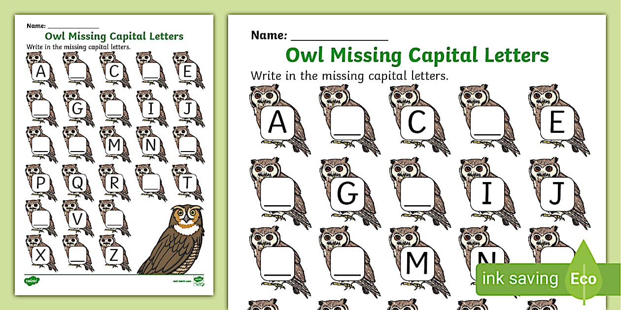 Owl Missing Capital Letters Worksheet (Teacher-Made)