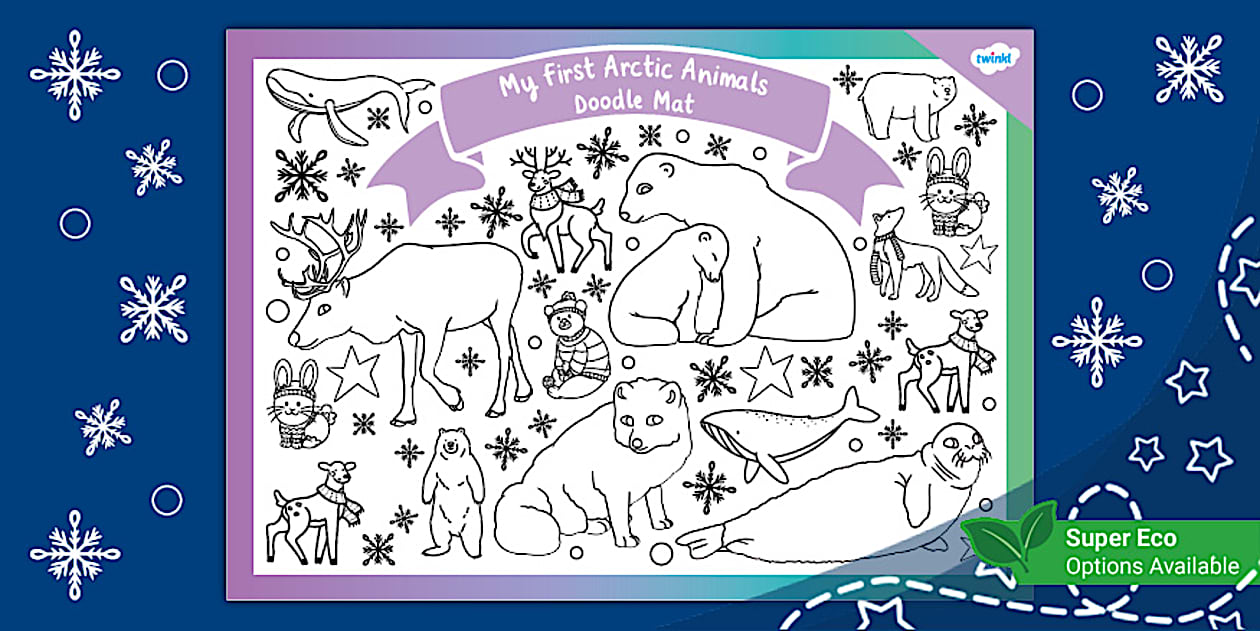 My First Arctic Animals Colouring Pack (teacher made)