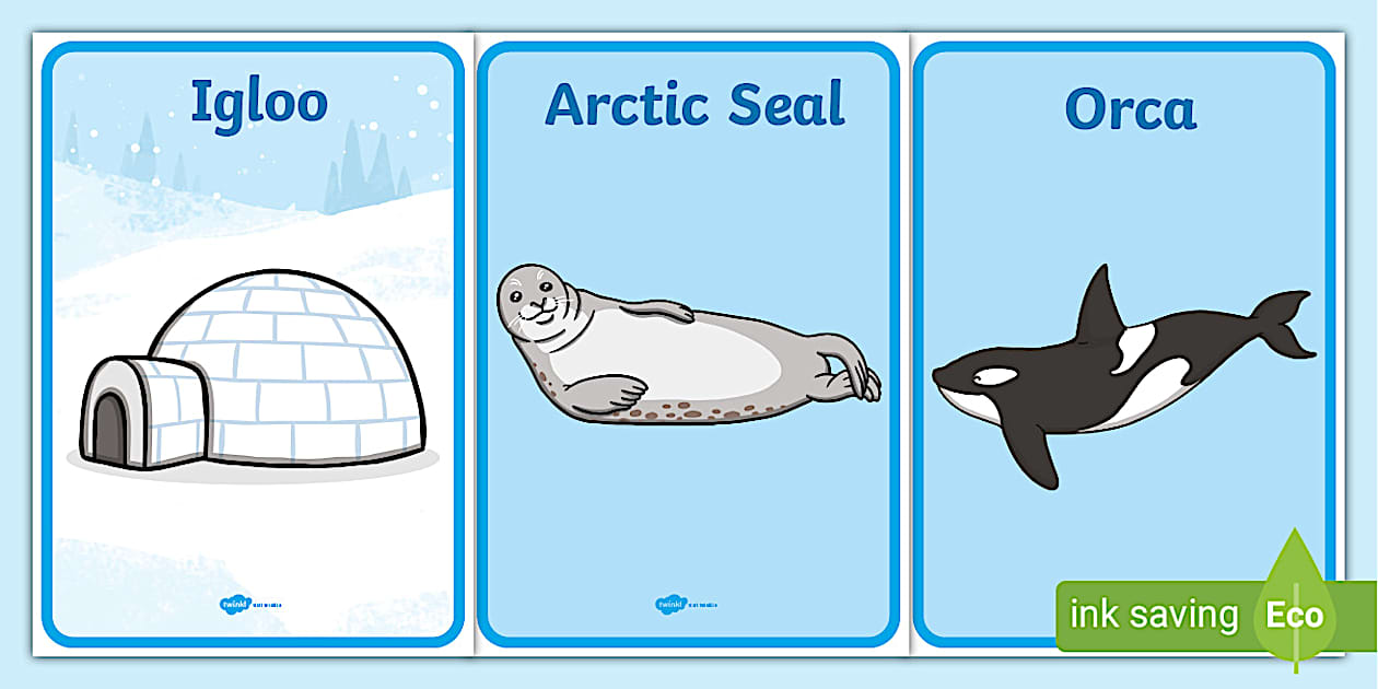 Large Arctic Display Posters (teacher made) - Twinkl
