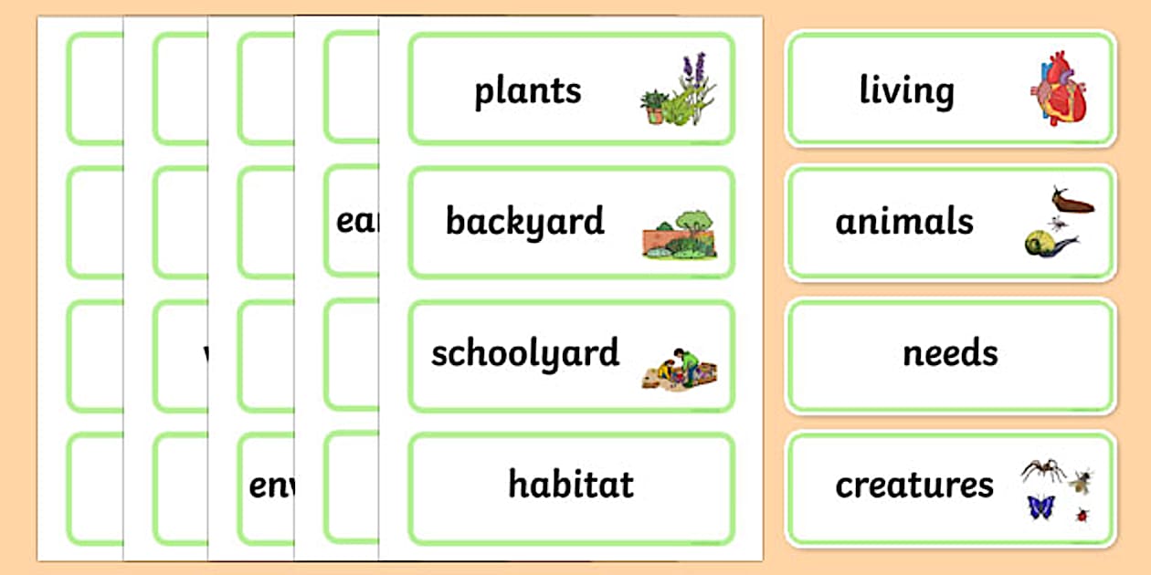 Editable Schoolyard Safari Word Wall Display Cards - Twinkl