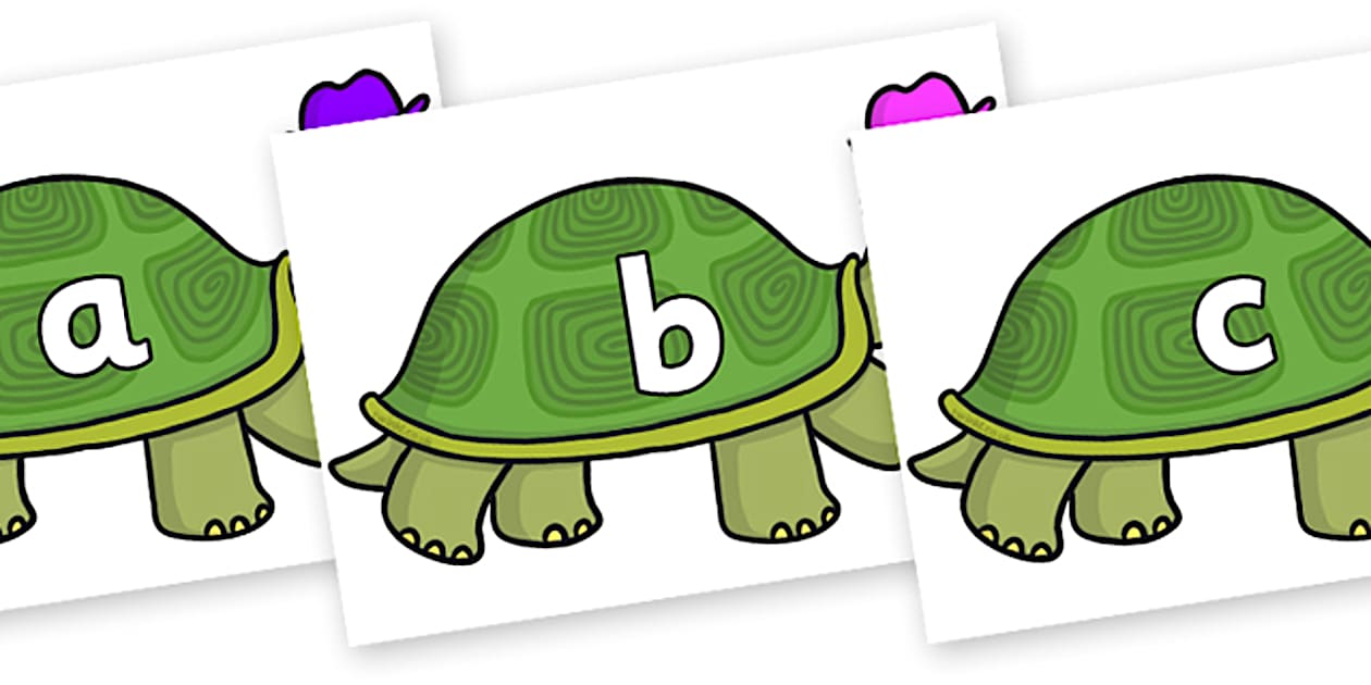 Phase 2 Phonemes on Tortoise (teacher made) - Twinkl