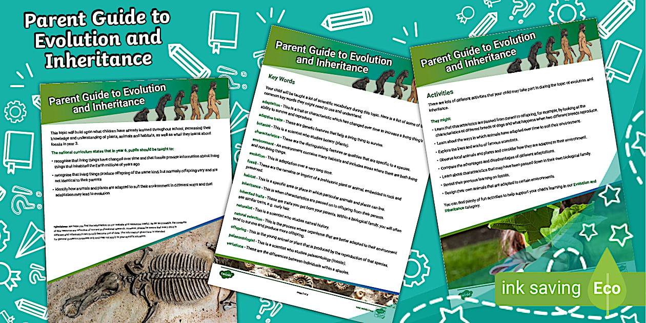 Parent Guide to Evolution and Inheritance (teacher made)