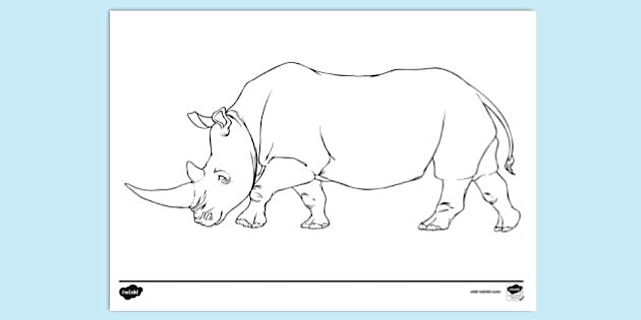 Rhino Colouring Page for Kids | Colouring Sheets - Twinkl