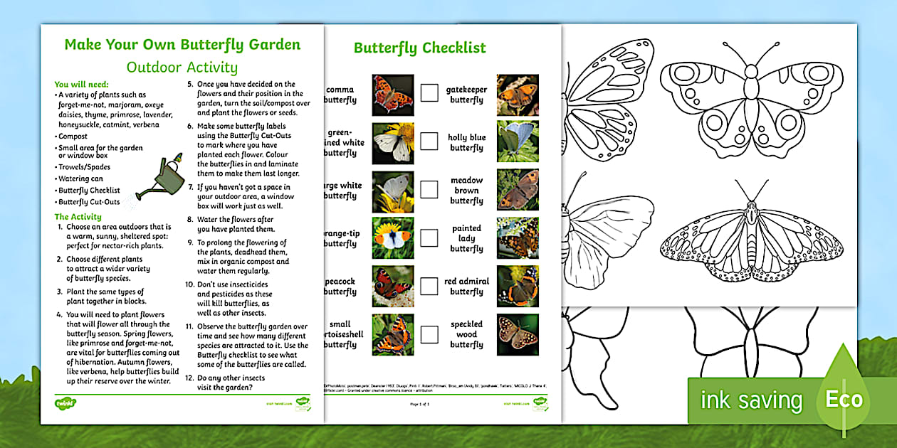 Make your own butterfly garden | Outdoor Activity | Primary