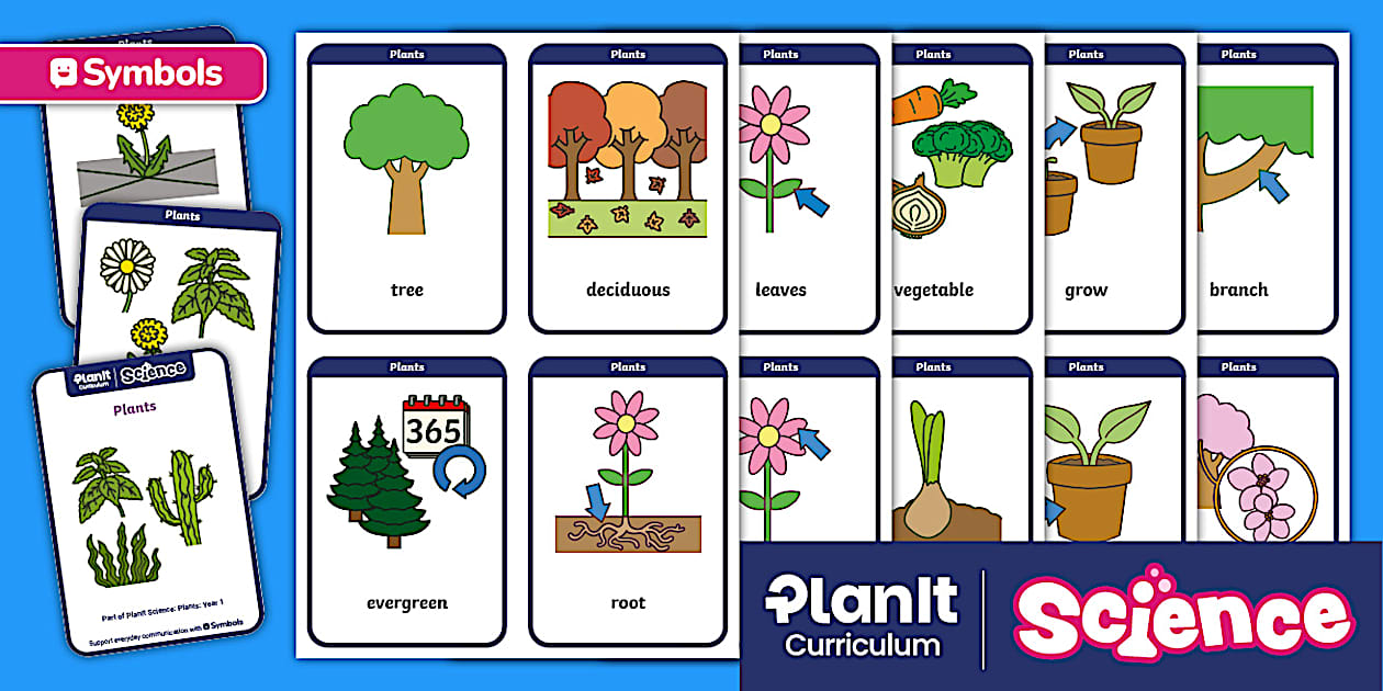 Twinkl Symbols: PlanIt Science: Plants: Year 1: Flashcards