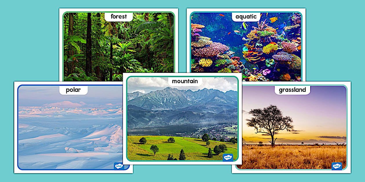 How the World Works - Habitats Posters (teacher made)