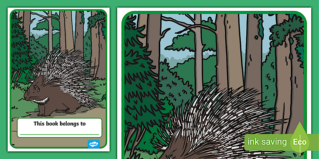 Porcupine-Themed Book Cover | Twinkl | Book Covers | KS1