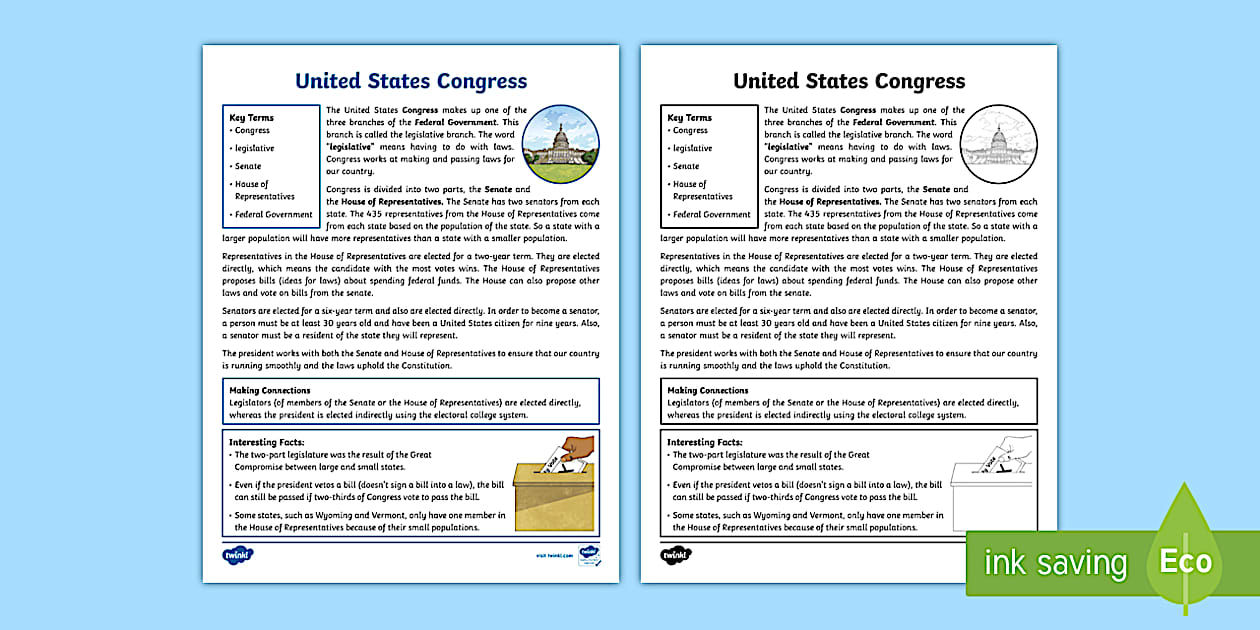 Fifth Grade United States Congress Fact File (teacher made)