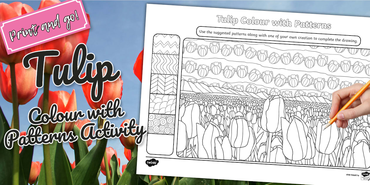 Tulip Colour with Patterns Activity