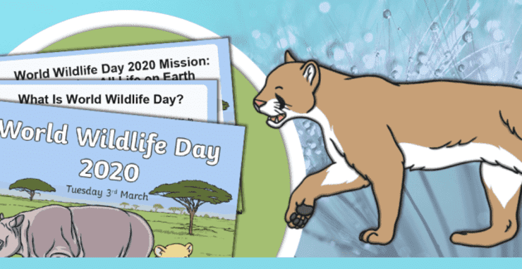 Celebrating World Wildlife Day - Twinkl