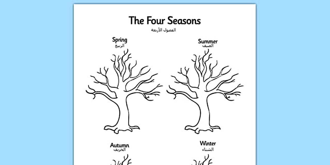 Four Seasons Tree Drawing Template Arabic Translation