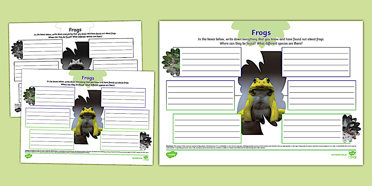 Frogs Mind Map (Teacher-Made) - Twinkl