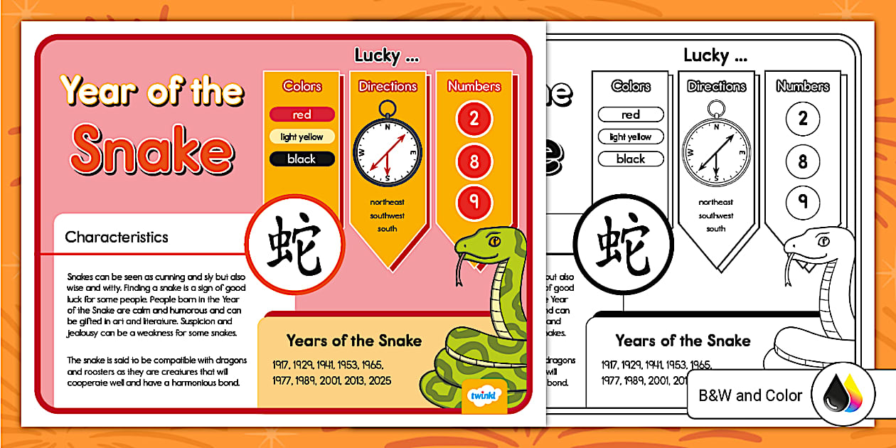 Year of the Snake Chinese New Year Informational Poster
