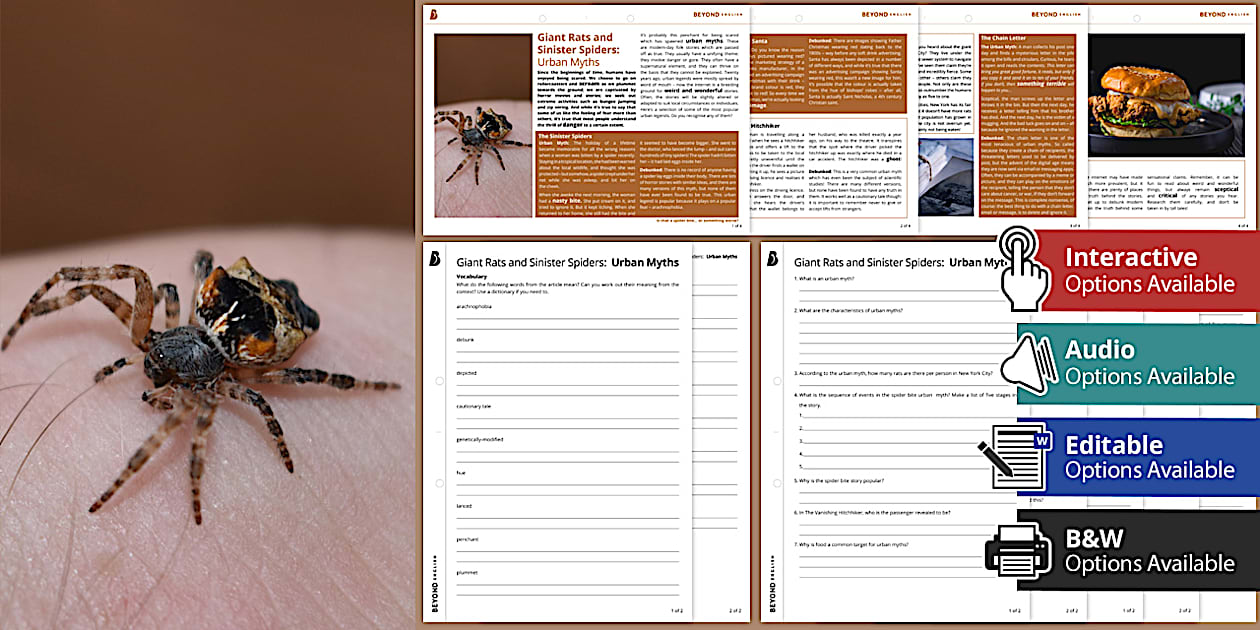 Giant Rats and Sinister Spiders | KS3 Reading Comprehension