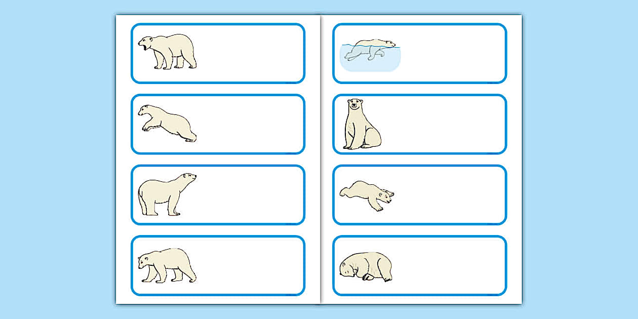 Polar Bear Editable Drawer Labels (Teacher-Made) - Twinkl