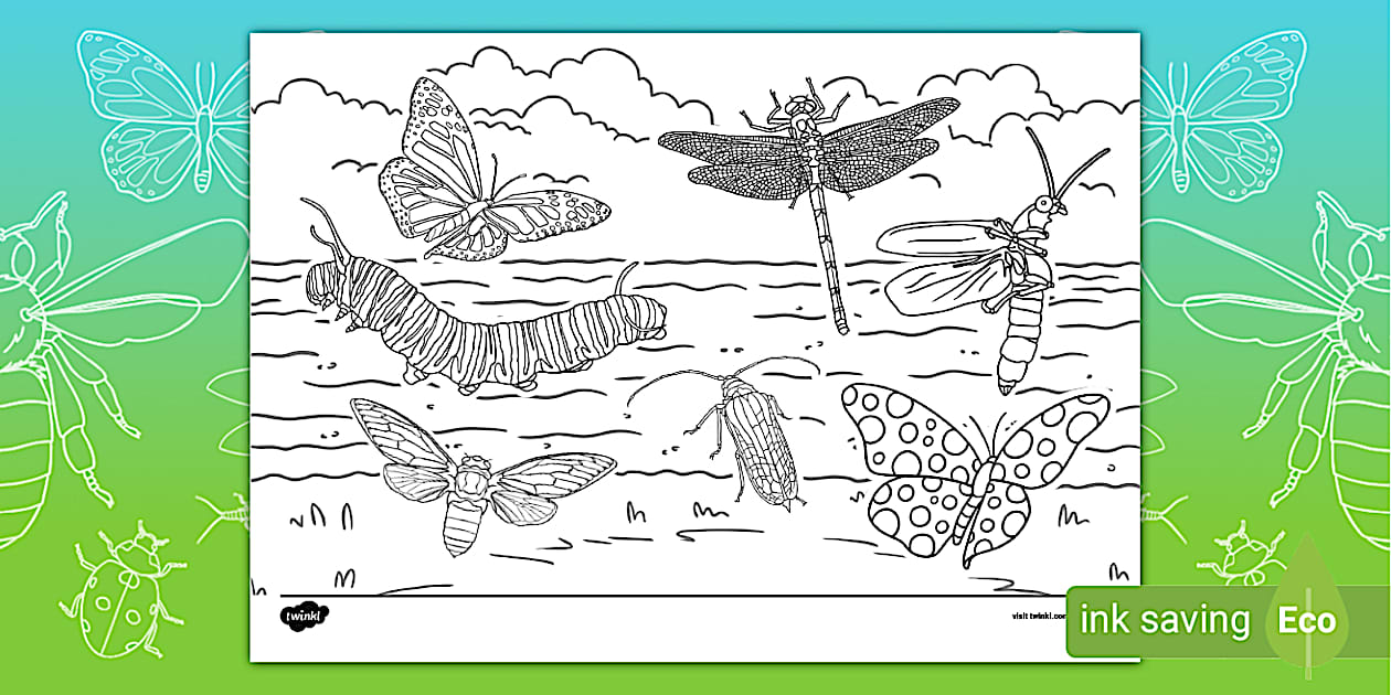 All the Small Things Colouring Page (Teacher-Made) - Twinkl