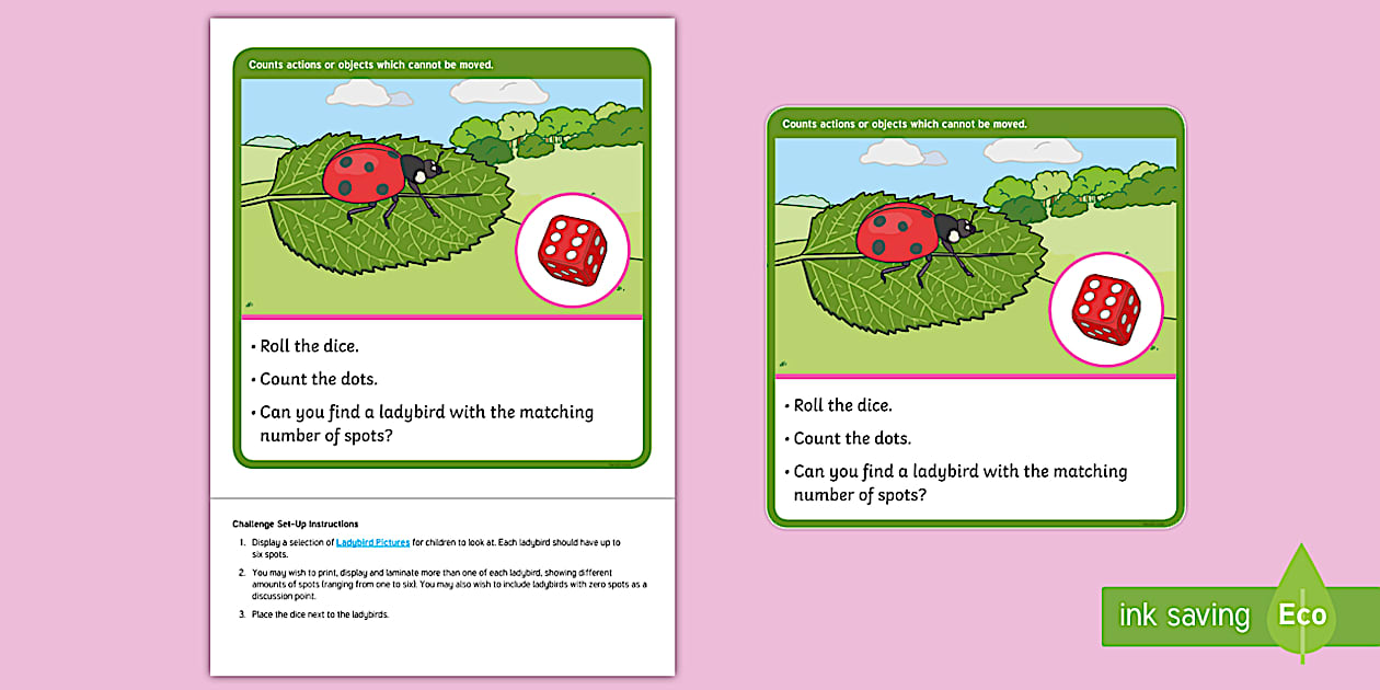 EYFS Maths Counting Challenge: Spotty Ladybirds Maths